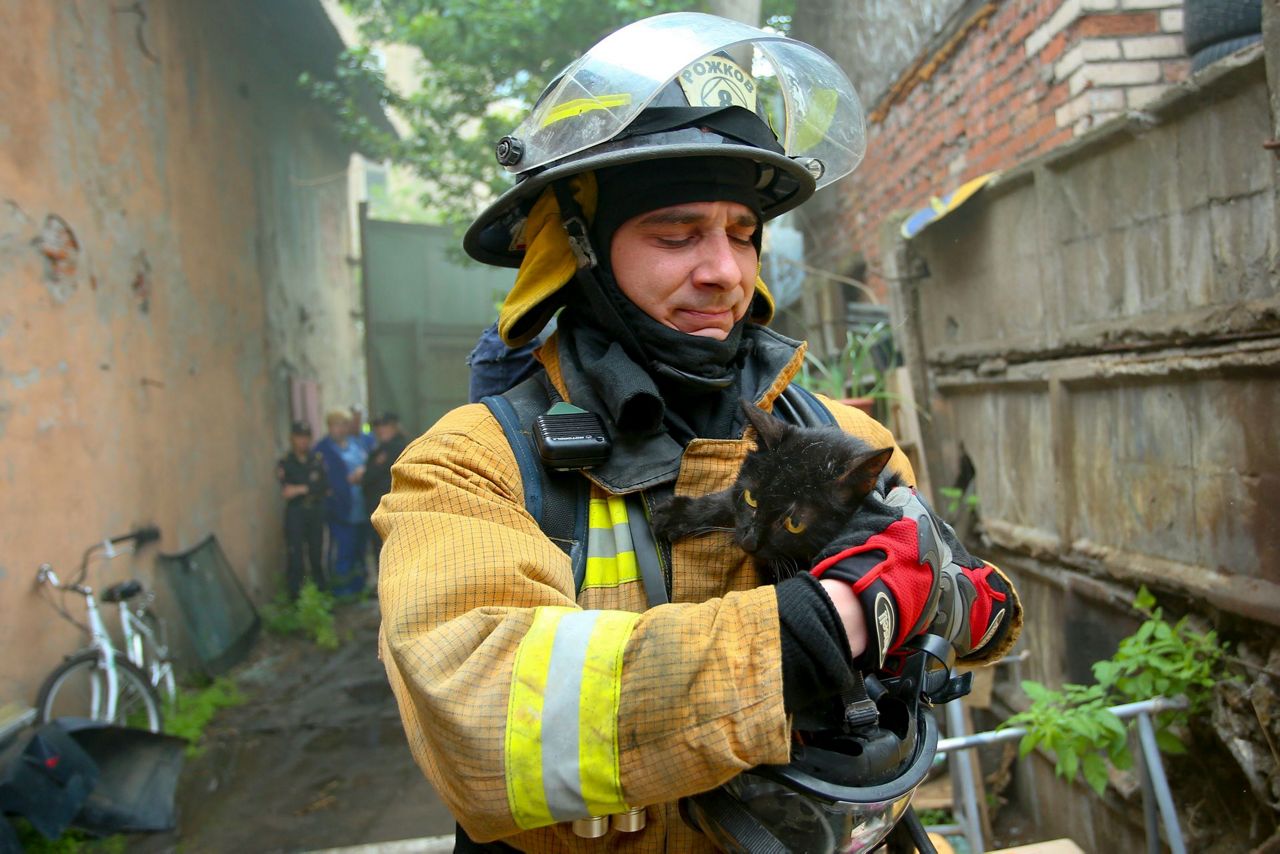 Russian fire teams save 300 cats from burning animal shelter