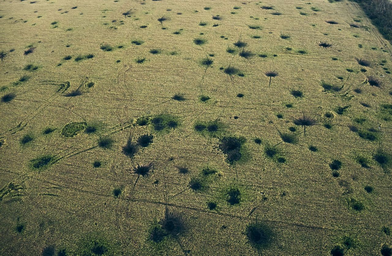 Zelenskyy visits liberated, but devastated, city of Izium