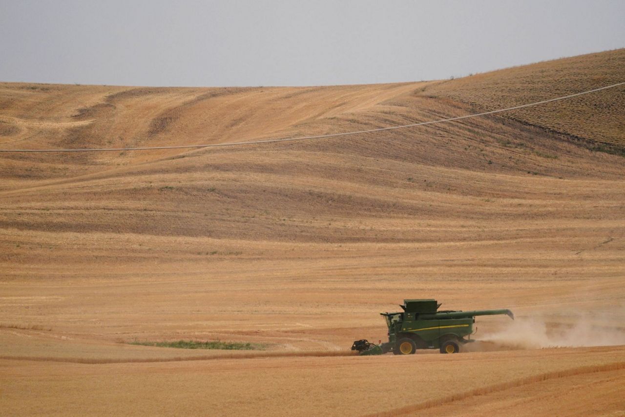 Global finance meeting focuses on war-driven food insecurity