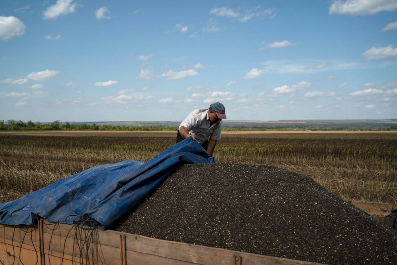 Front line farming: Bombs disrupt critical Ukraine industry