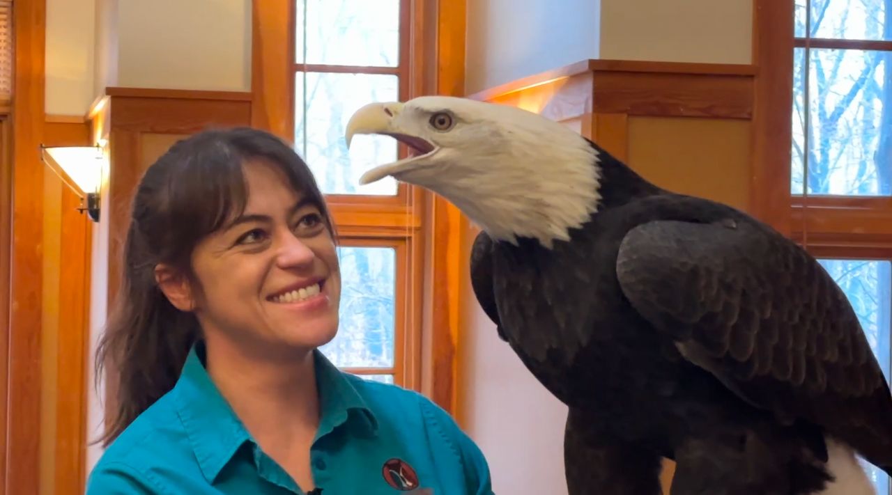 Raptor Program raises awareness of birds of prey