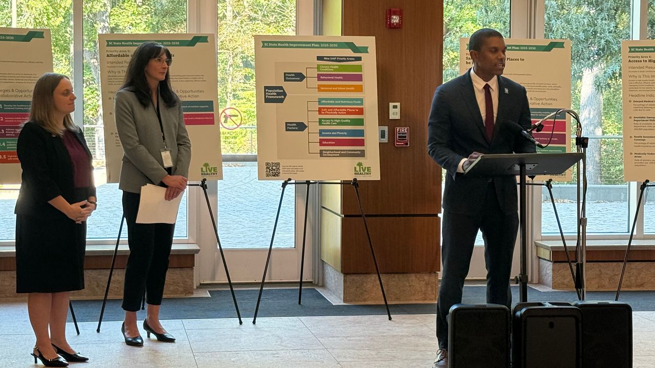 South Carolina health improvement plan