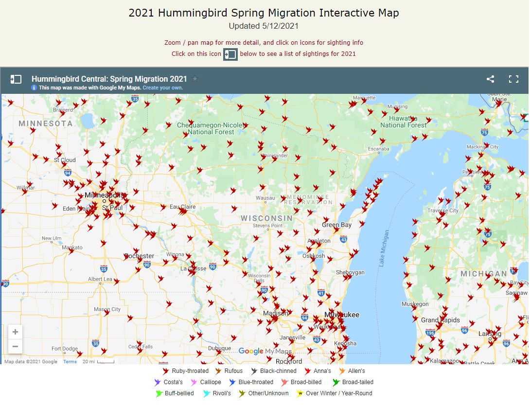 Spring hummingbird migration 2021