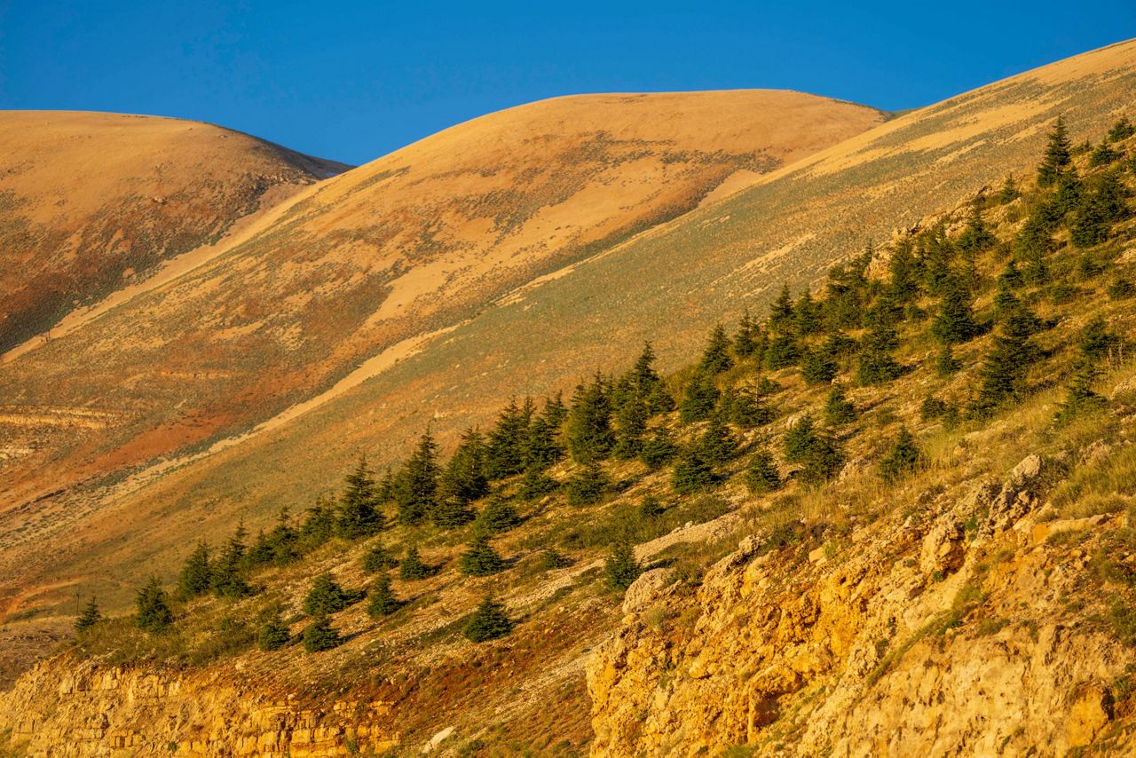 Lebanon's Christians feel the heat of climate change in its sacred ...