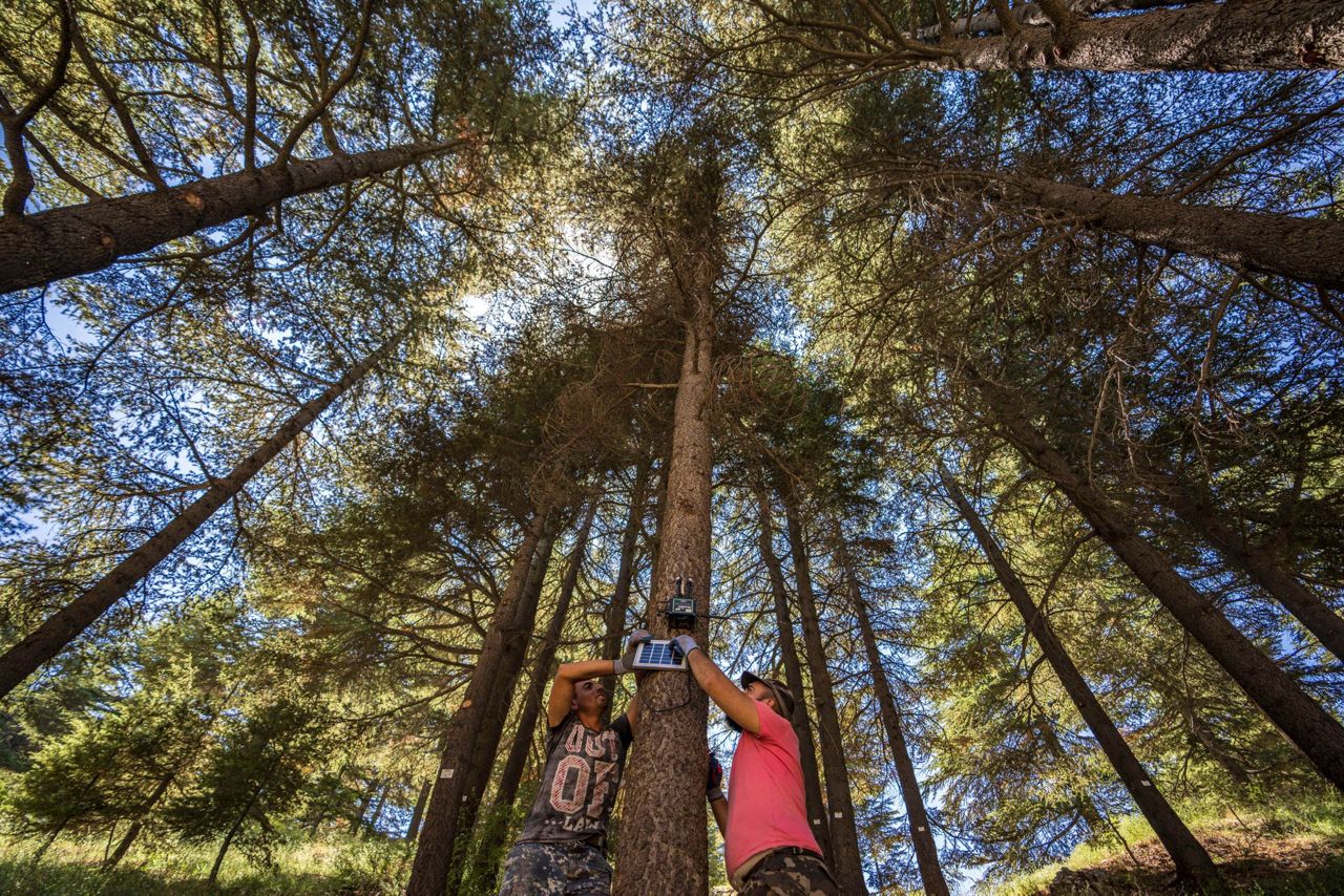 Lebanon's Christians feel the heat of climate change in its sacred ...