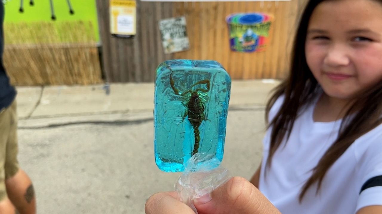 State Fair scorpion lollipops, claws, cotton candy crickets