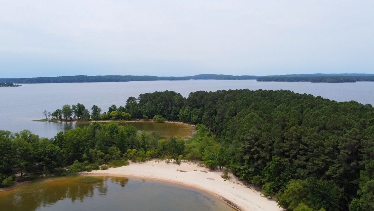 Toxic algae bloom at Jordan Lake
