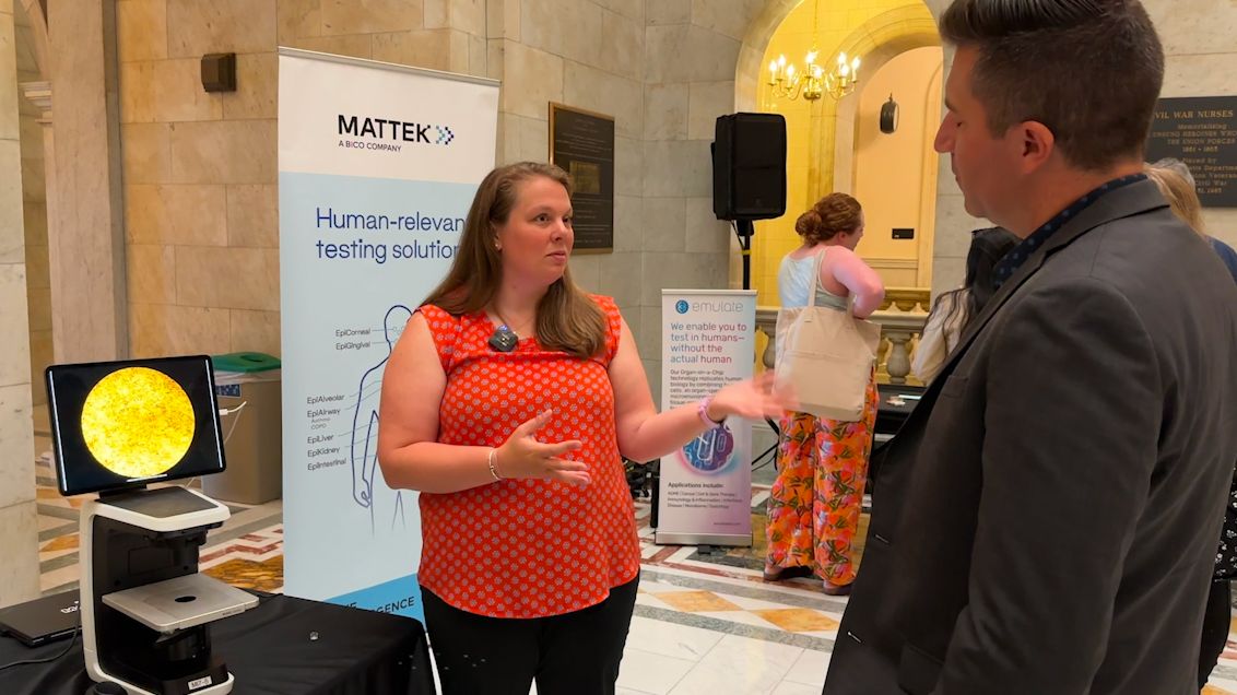 Scientists advocate for alternative animal testing