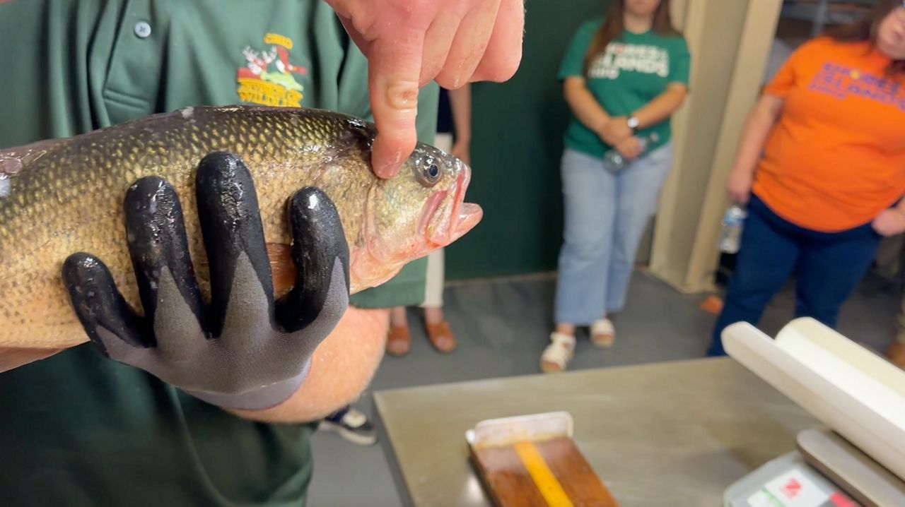 Fish Ohio day celebrates contribution to Ohio's economy