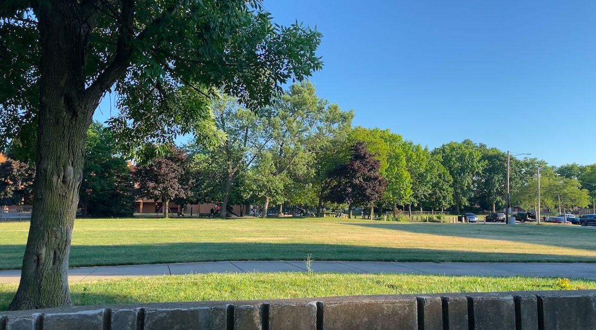 Cleveland City Council creates division of urban forestry