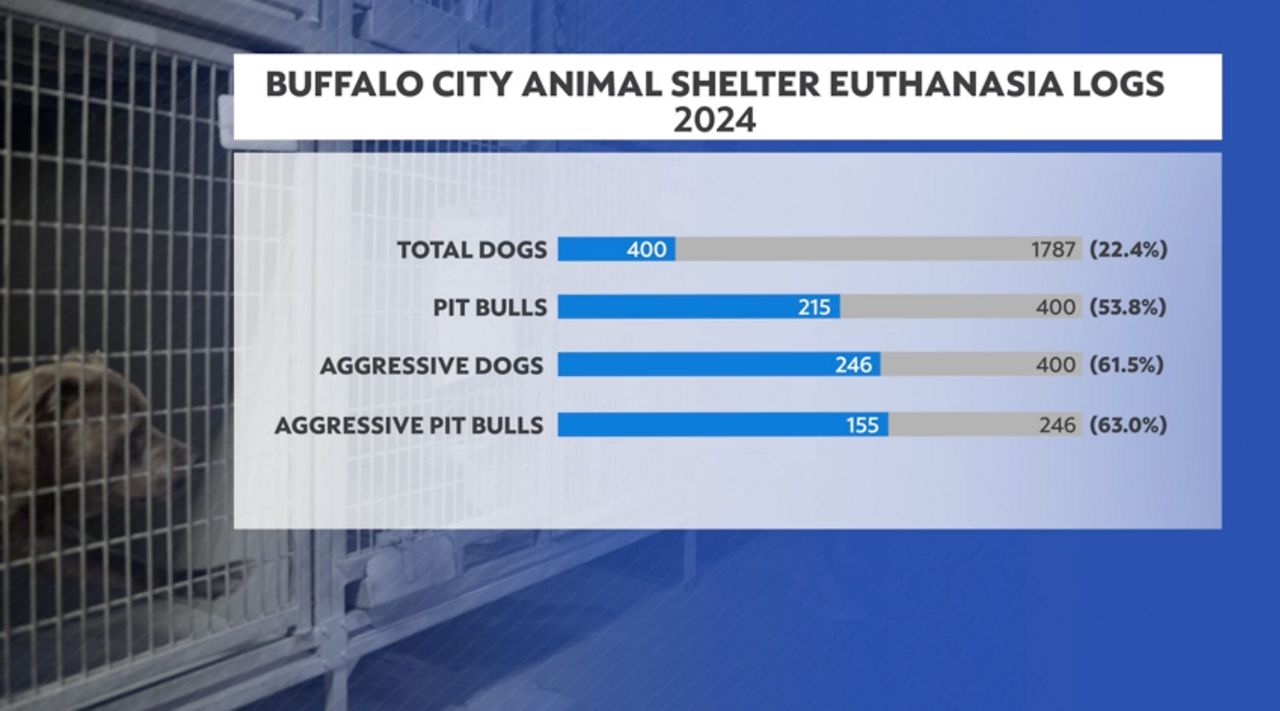 High euthanasia rates at the City of Buffalo Animal Shelter