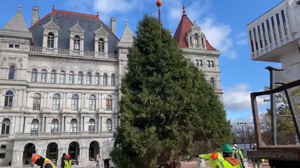 New York state Christmas tree comes from Saratoga County