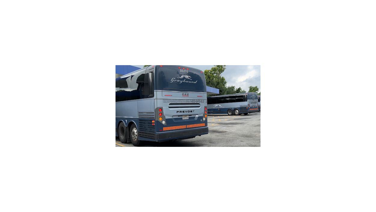 National Runaway Safeline provides free bus ticket for youth