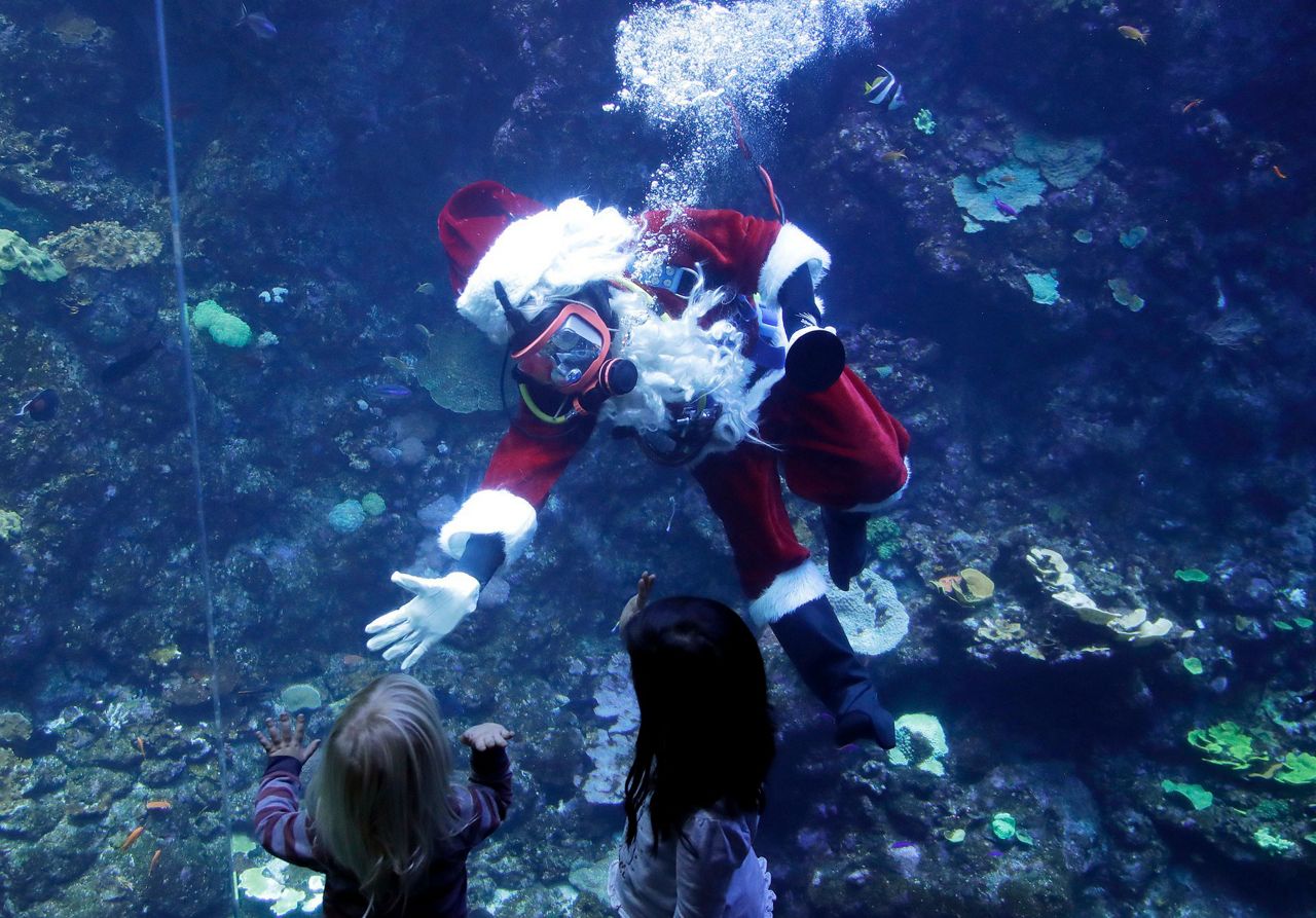 Scuba-diving Santa brings holiday cheer to fish, museumgoers