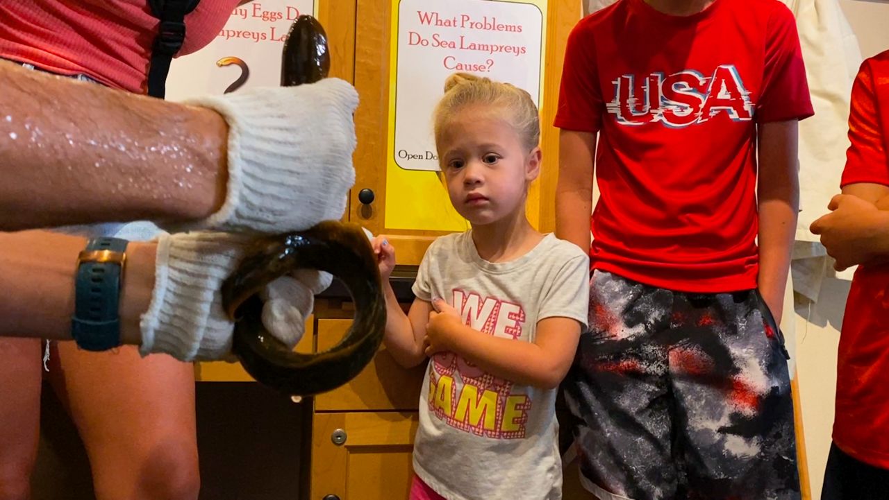 Attack of the Sea Lampreys exhibit