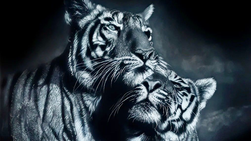 Hyper-realistic art brings attention to endangered species
