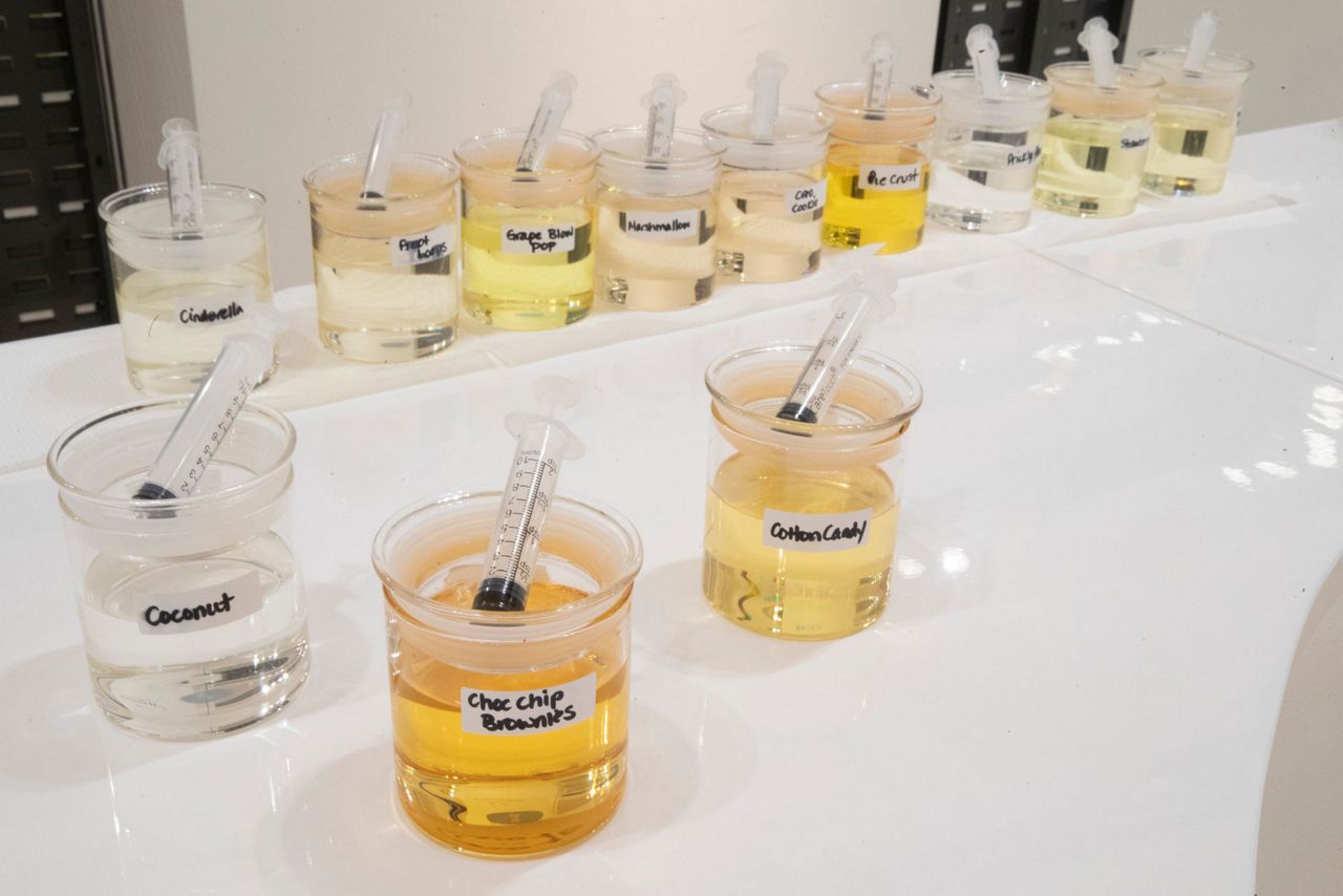 Stretchy, lovable slime takes up residence in New York City