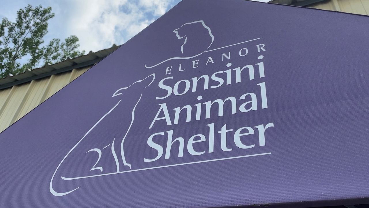 Eleanor Sonsini Animal Shelter