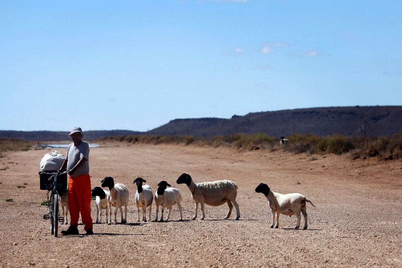 Southern Africa’s deadly drought leaving millions hungry