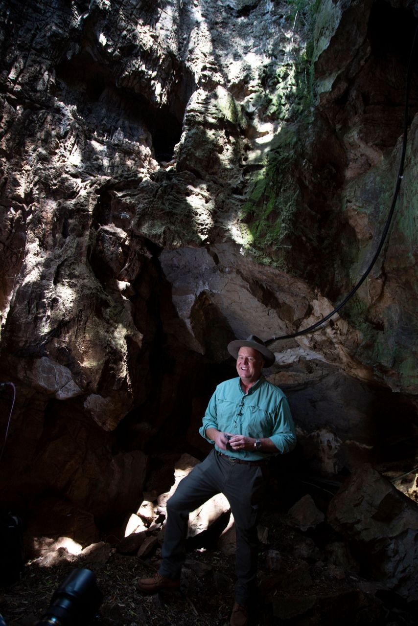 Scientists find fossil of early hominid in South Africa