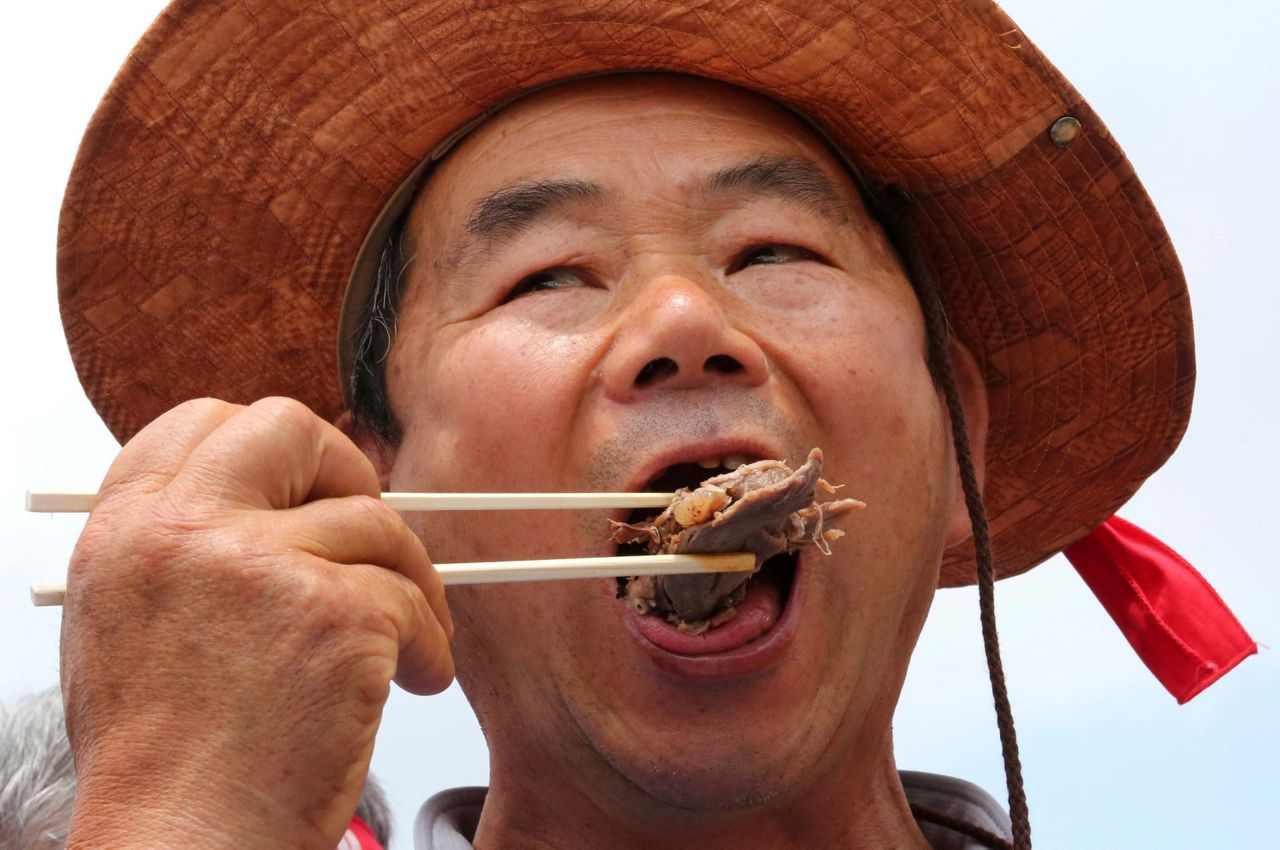 Rallies erupt on 'dog meat day' in South Korea