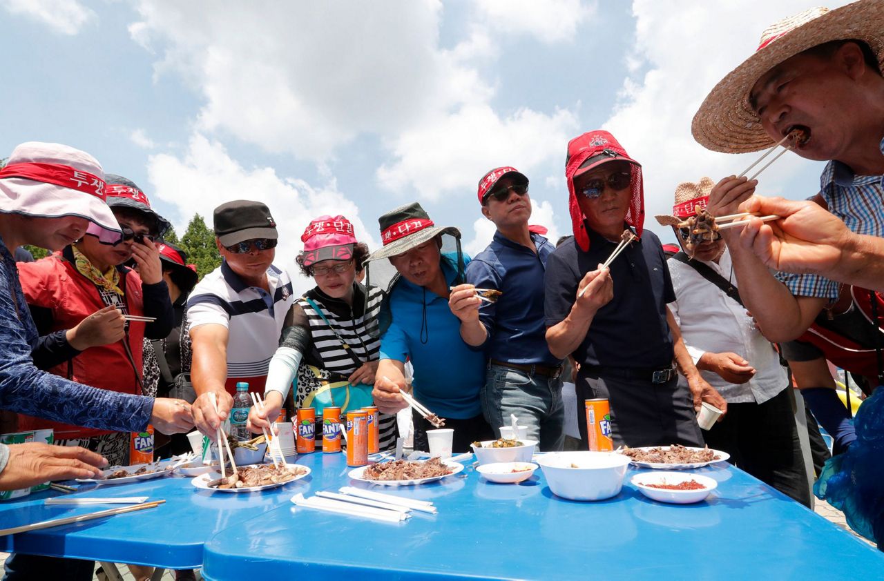 Rallies erupt on 'dog meat day' in South Korea