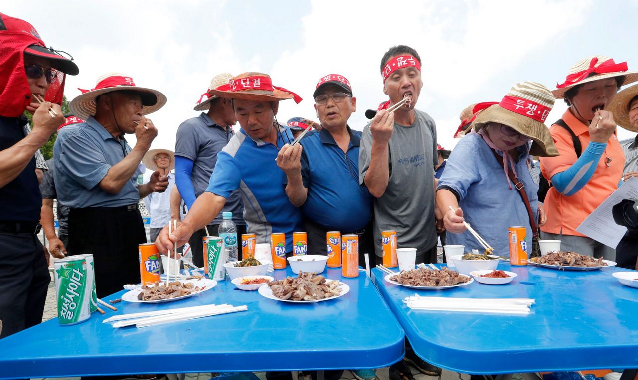 Rallies erupt on 'dog meat day' in South Korea