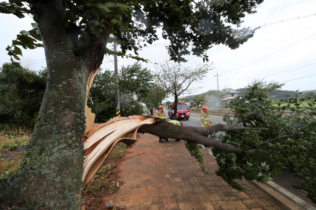 Typhoon leaves thousands of South Korean homes powerless