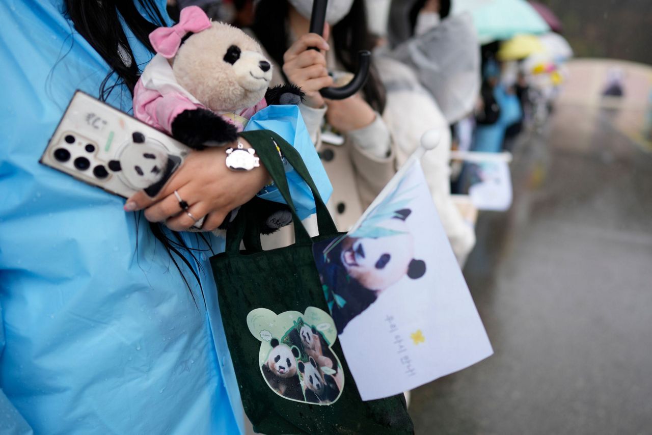 South Koreans bid emotional farewell to beloved panda leaving for China