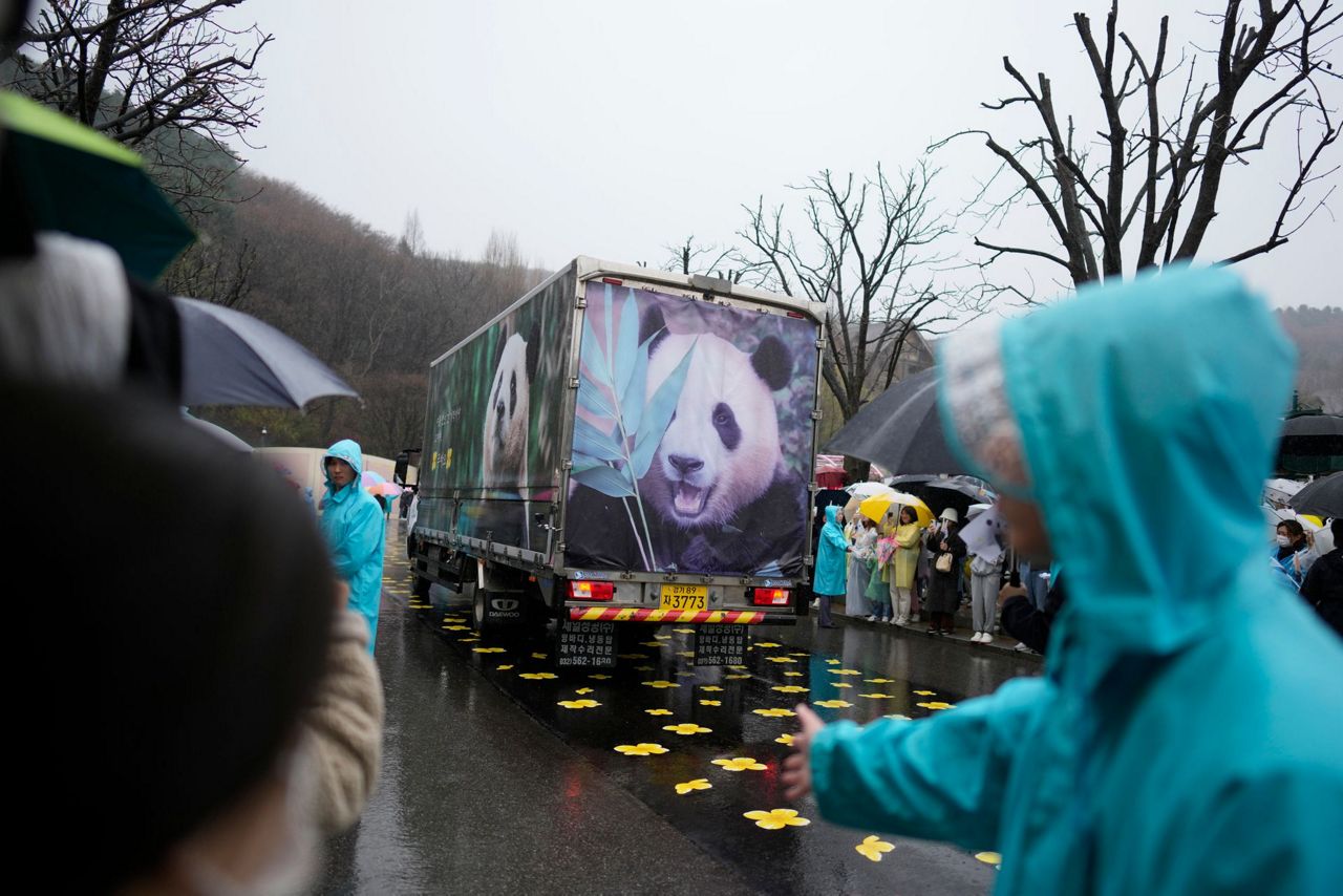 South Koreans bid emotional farewell to beloved panda leaving for China