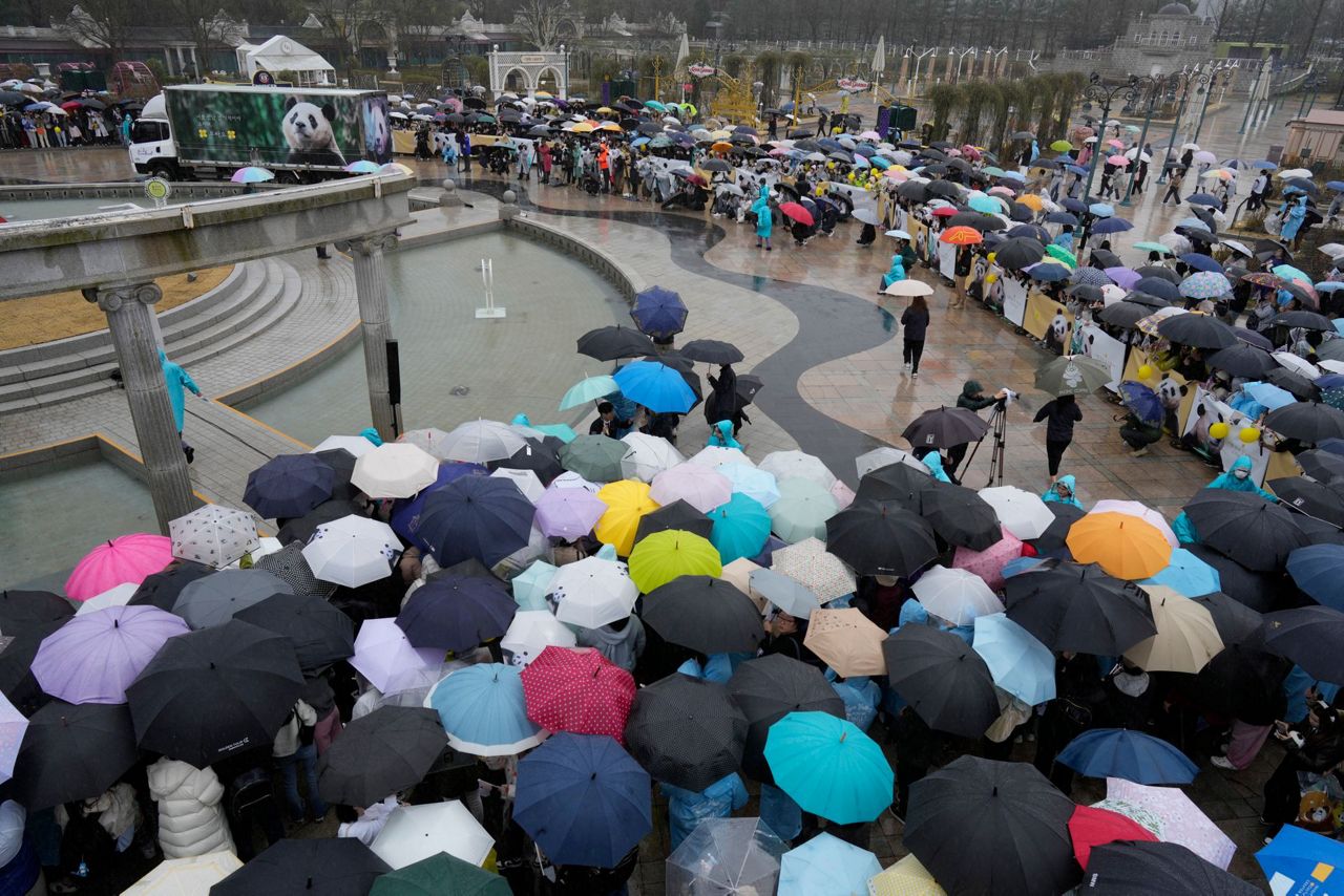 South Koreans bid emotional farewell to beloved panda leaving for China