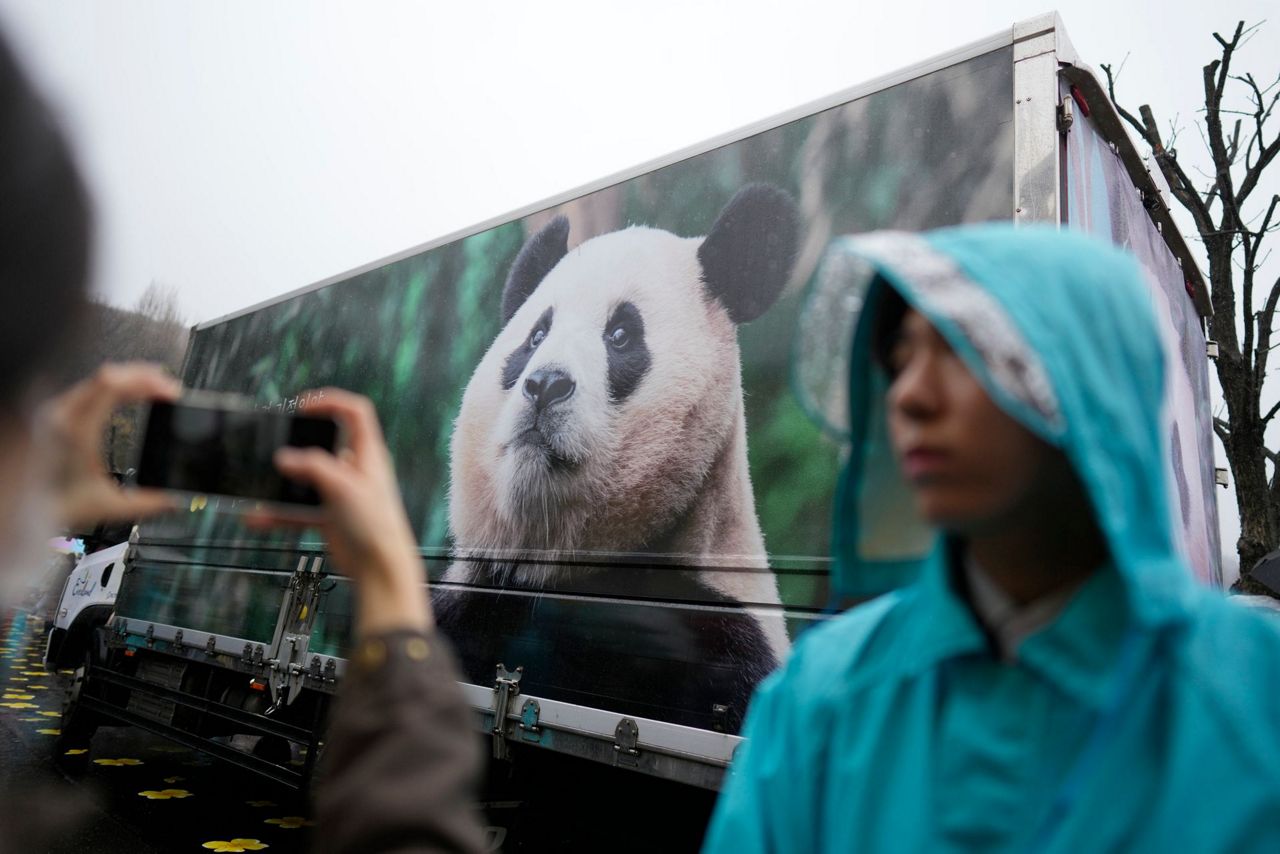 South Koreans bid emotional farewell to beloved panda leaving for China