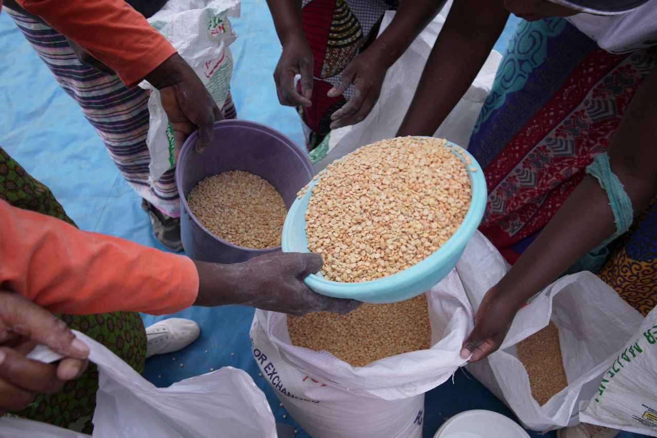 Extreme drought in southern Africa leaves millions hungry