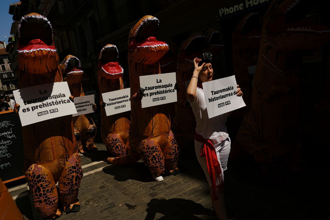 Activists protest over Spain's San Fermin bull-run festival