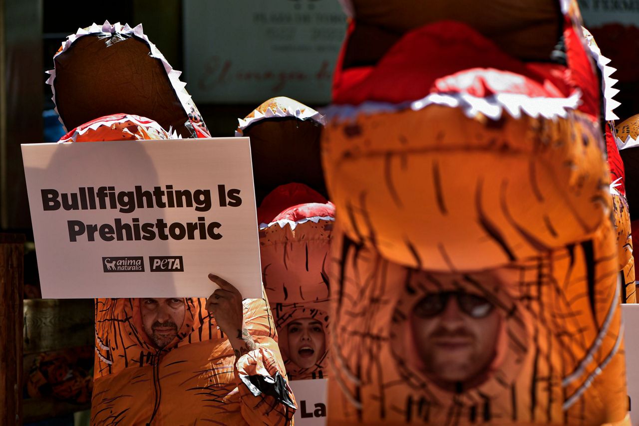 Activists protest over Spain's San Fermin bull-run festival