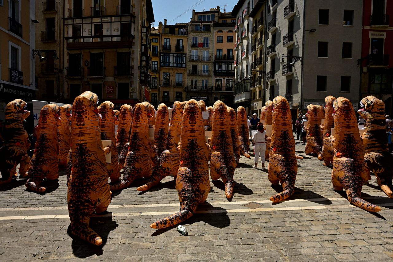 Activists protest over Spain's San Fermin bull-run festival
