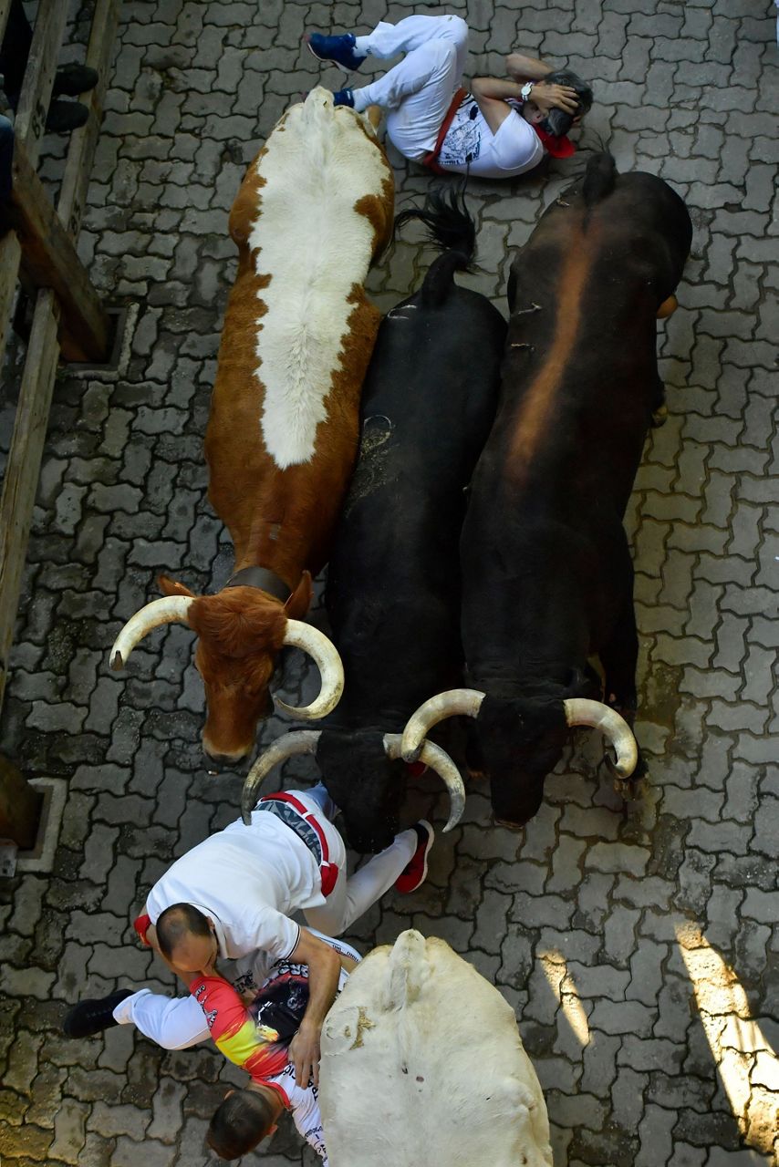 4 injured in a new fast race with bulls in Pamplona festival