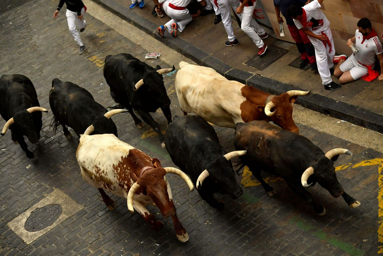 2 runners gored racing with bulls at Pamplona's festival