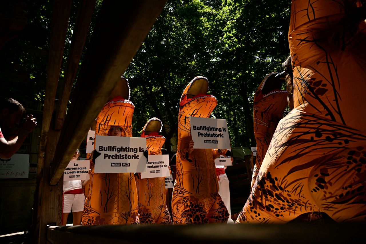 Activists protest over Spain's San Fermin bull-run festival