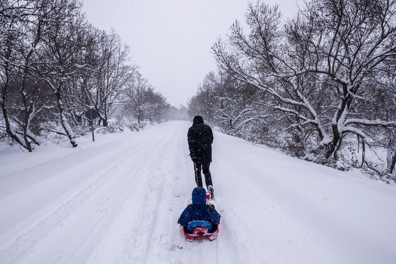 Blizzard covers Spain in white, brings Madrid to standstill