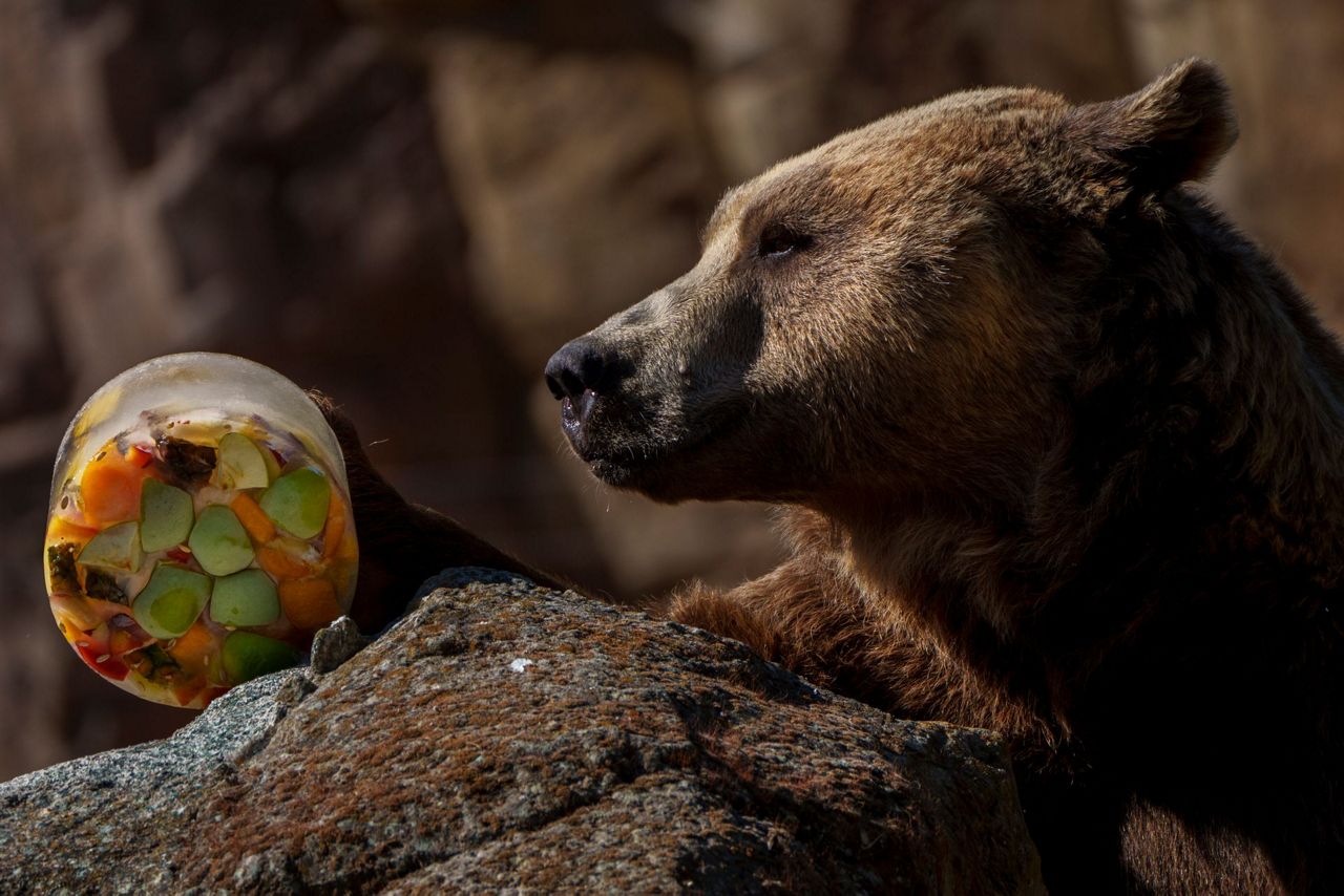 A heat wave named Cerberus has southern Europe in its jaws, and it's ...