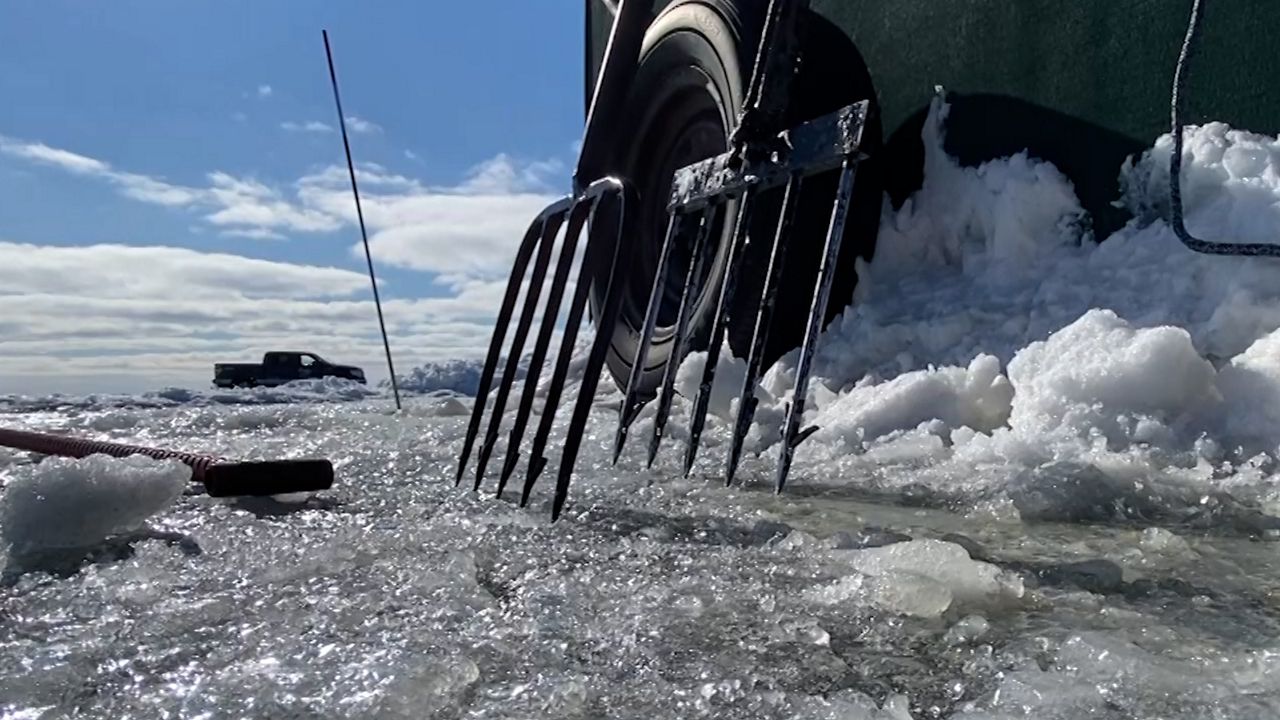 Sturgeon spearers worry about the future of sport