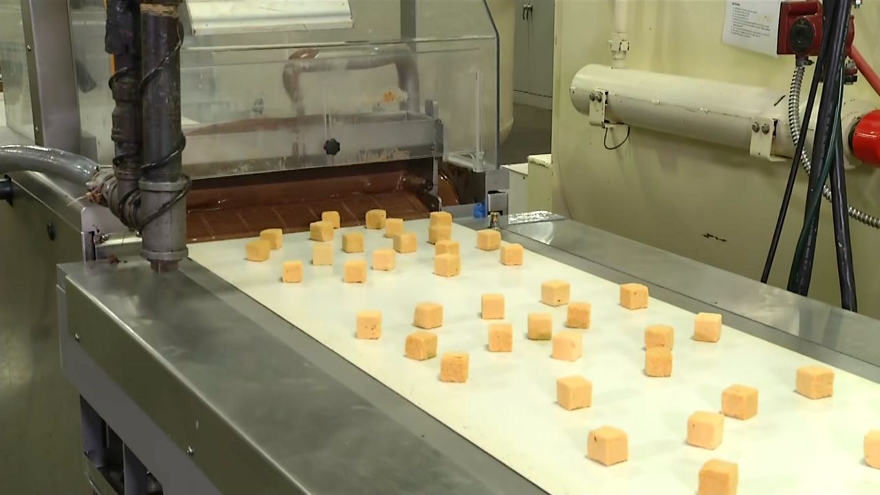 WNY shop celebrating National Candy Month with sponge candy