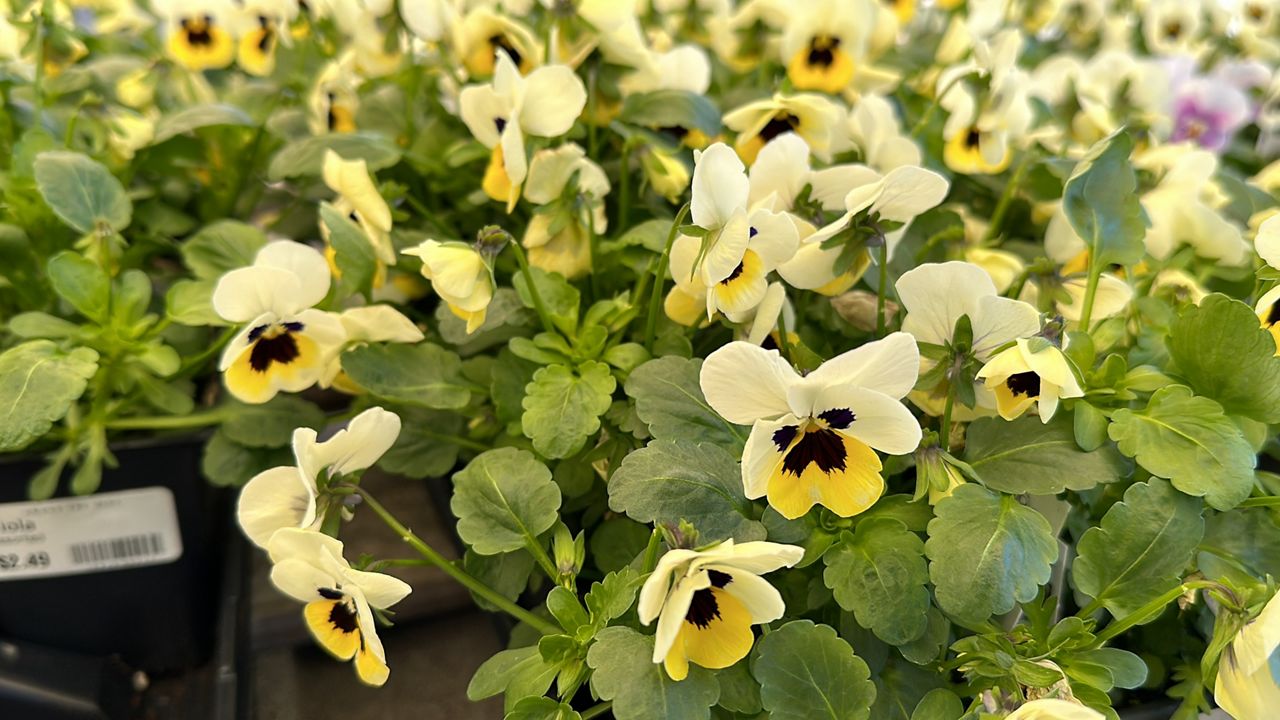 Spring is here and it's time to start your garden