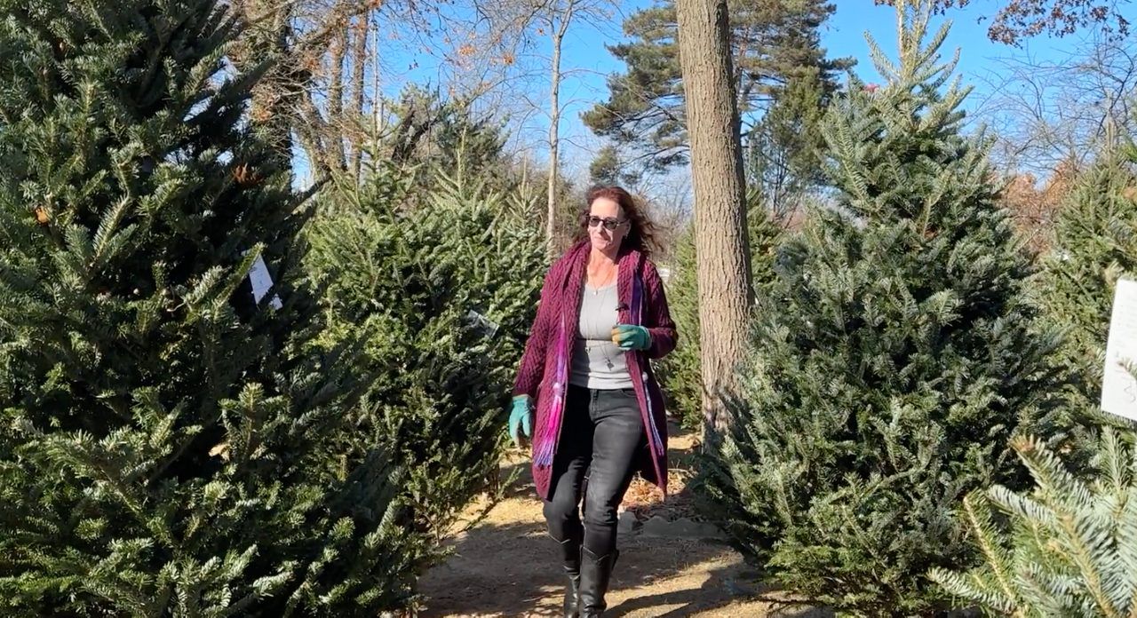 A Christmas tree shortage is affecting small business owner