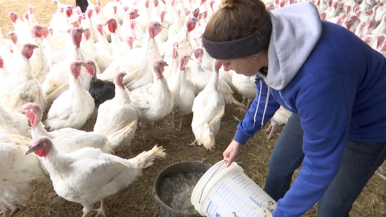 Anti-farming surveillance bill hits setback in committee