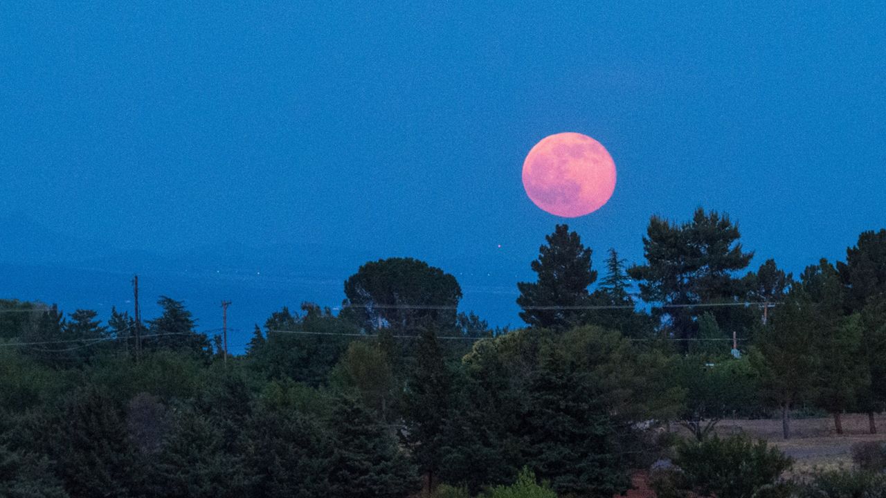 June s Strawberry Moon Rises This Week