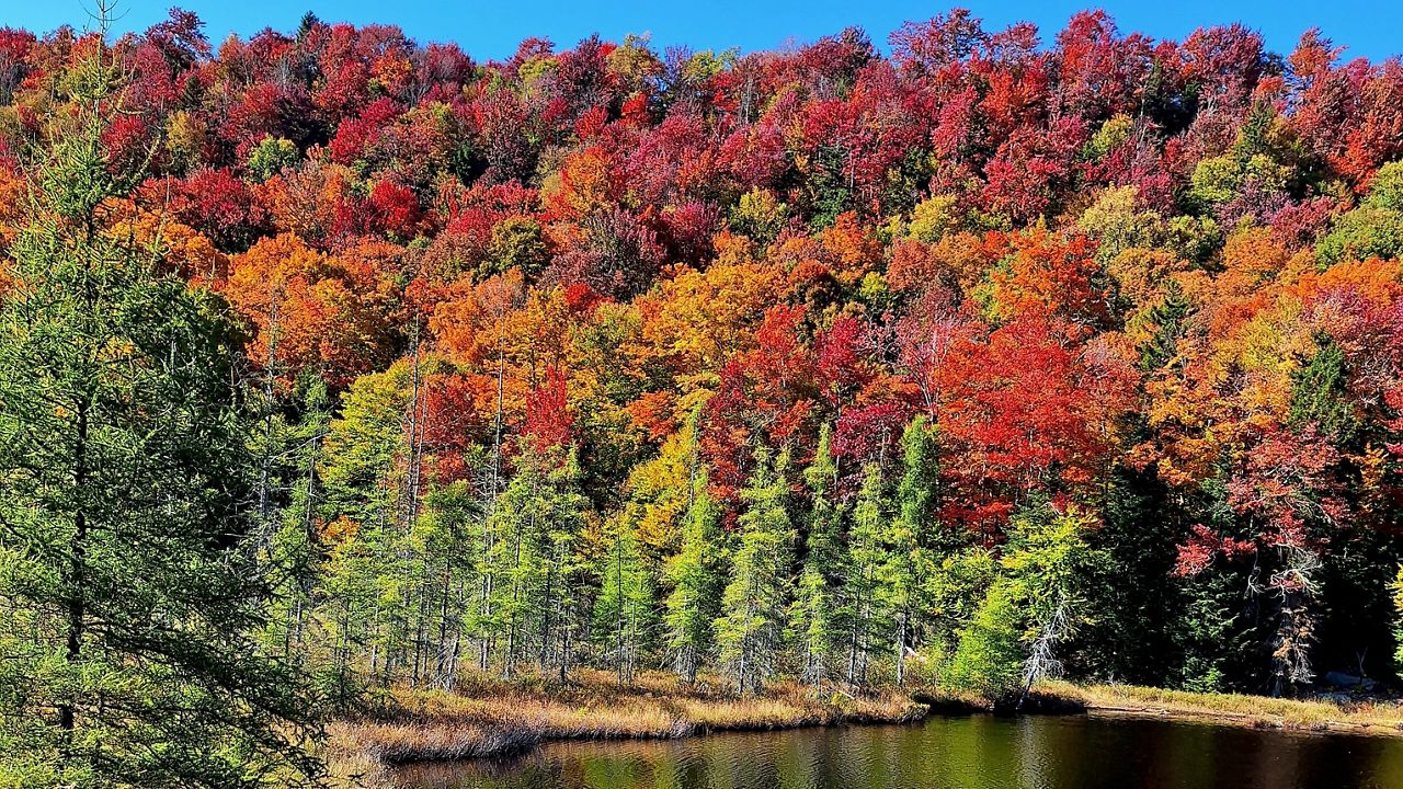 Final foliage report shows peak, past peak colors statewide