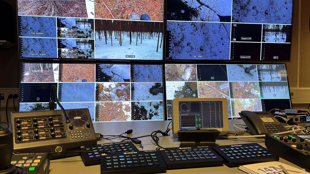 Livestream of moose migrating to summer pastures that had millions ...