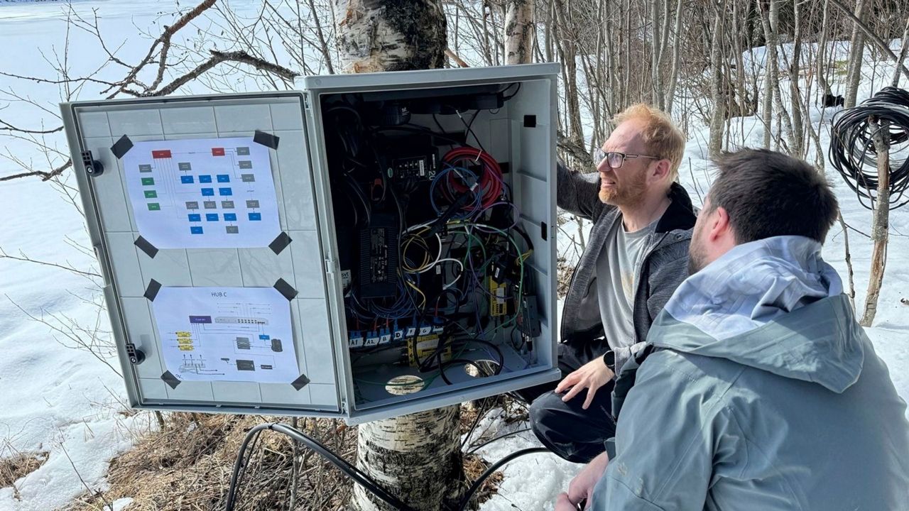 Livestream of moose migrating to summer pastures that had millions ...